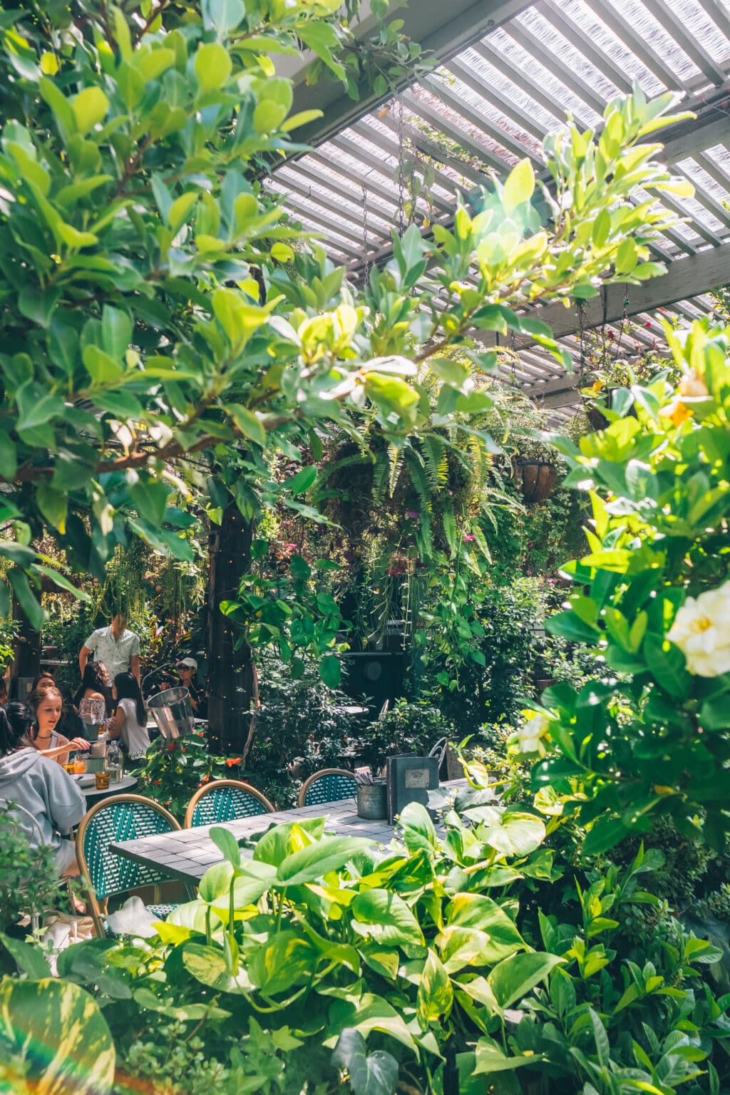 Factory Tour | Learn About The Grounds Coffee Factory